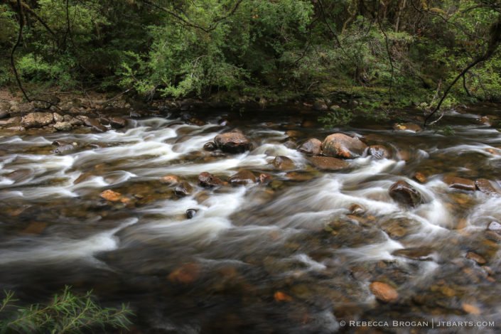 Franklin River (Franklin River Nature Trail, Franklin – Gordon Wild ...