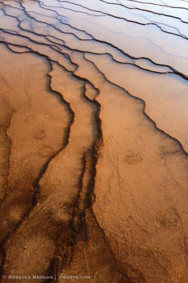 Bison Trail in Grand Prismatic Spring (Yellowstone National Park ...